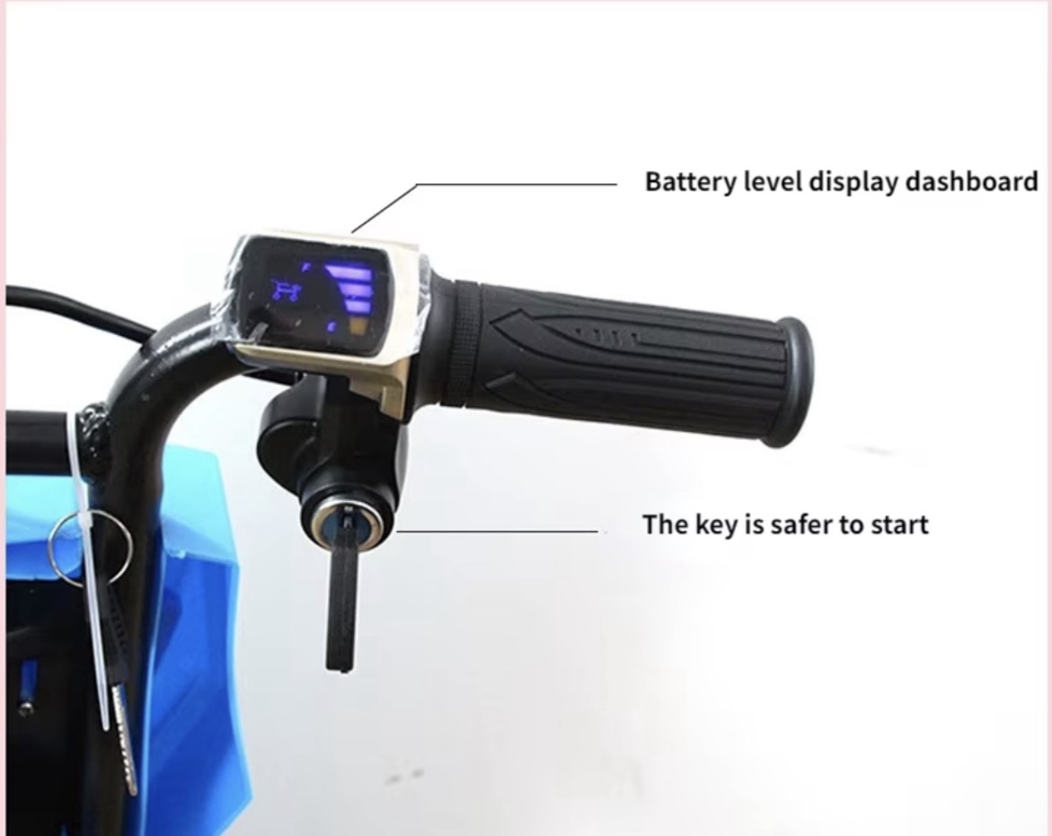 3 Wheel 36v Electric Drifting Trike for Kids & lithium battery – Tiger ...